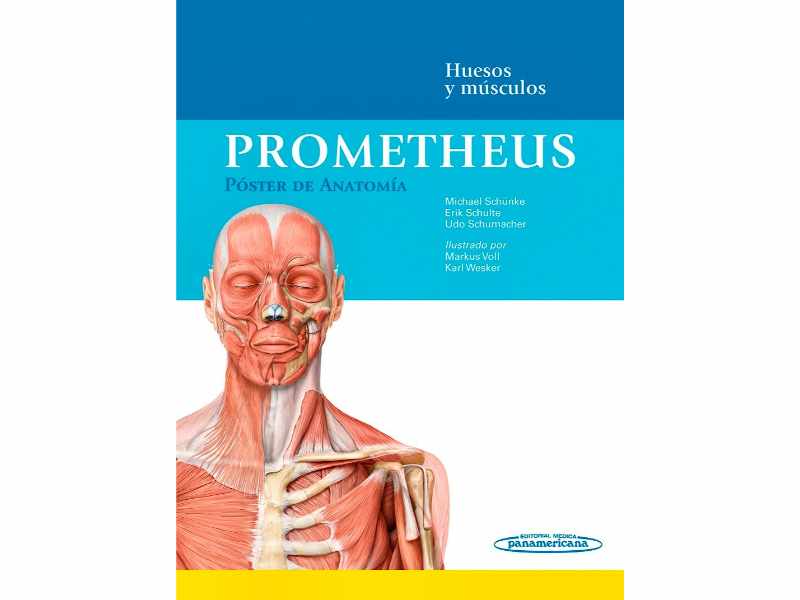 Prometheus Póster de Anatomía