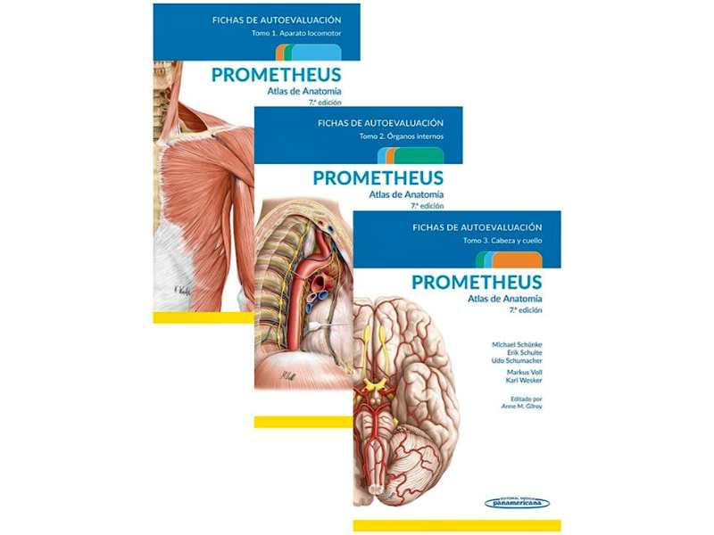 PROMETHEUS Atlas de Anatomía. Fichas de Autoevaluación (3 Tomos ...