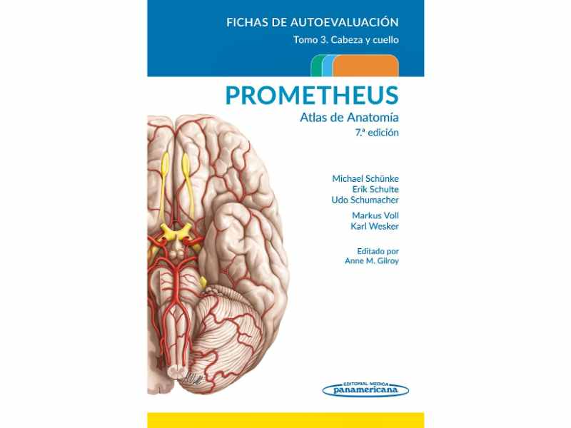 PROMETHEUS Atlas de Anatomía. Fichas de Autoevaluación, Tomo 3: Cabeza ...