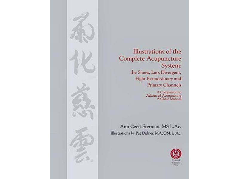 Illustrations Système Complet Acupuncture / Illustrations of the ...