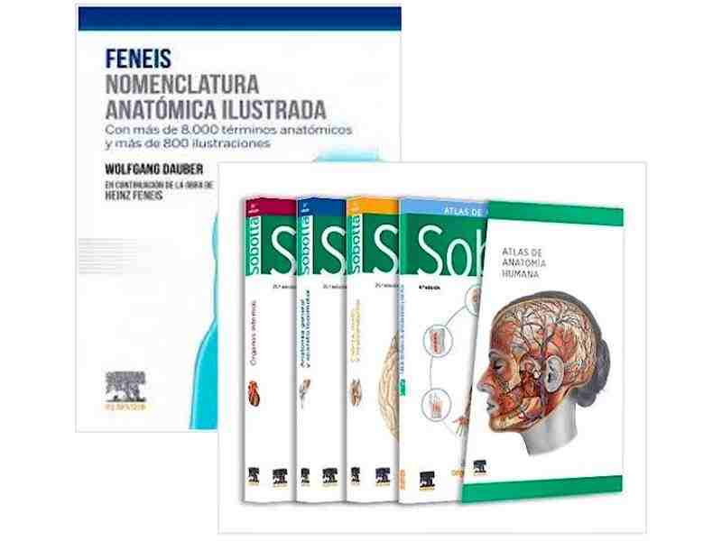 Lote Pack FENEIS Nomenclatura Anatómica Ilustrada + SOBOTTA Atlas de ...