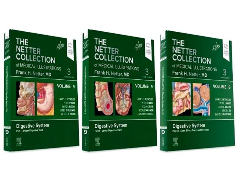 Colección de Ilustraciones Médicas de NETTER. Sistema Digestivo 3 ...