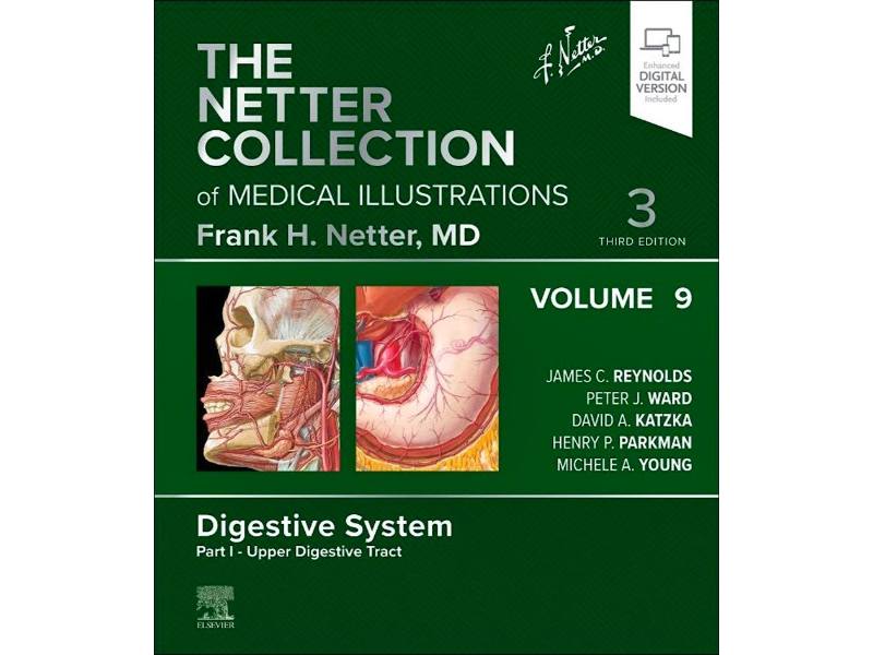 Collezione di Illustrazioni Mediche The NETTER. Sistema Digestivo ...