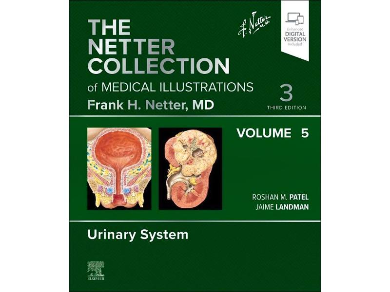 Ilustraciones Médicas del Sistema Urinario / The NETTER Collection of ...