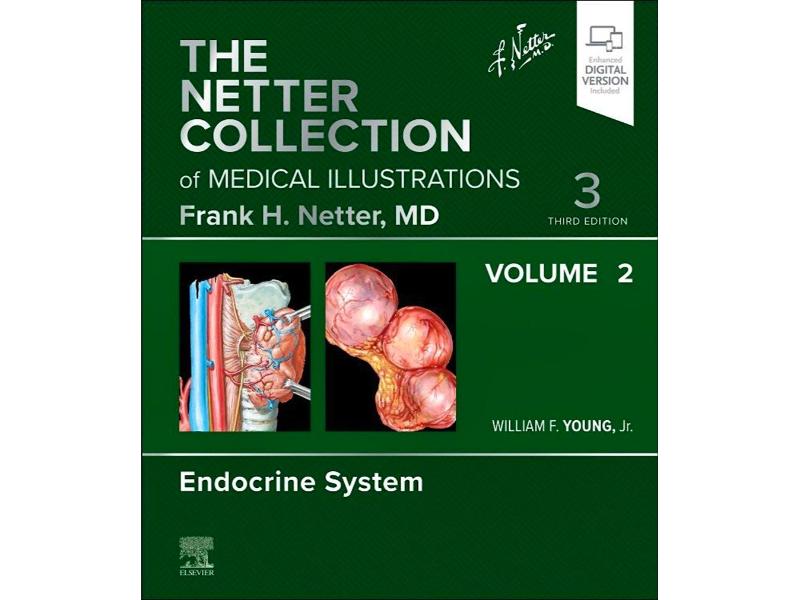 Colección Netter de Ilustraciones Médicas Sistema Endocrino V2 / The ...
