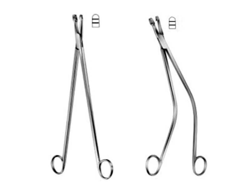 Pinza para biopsia. Modelo SCHUBERT.