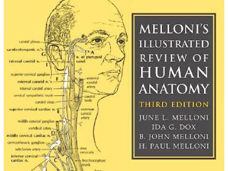 Reseña Ilustrada de Anatomía Humana de Melloni / Melloni's Illustrated ...