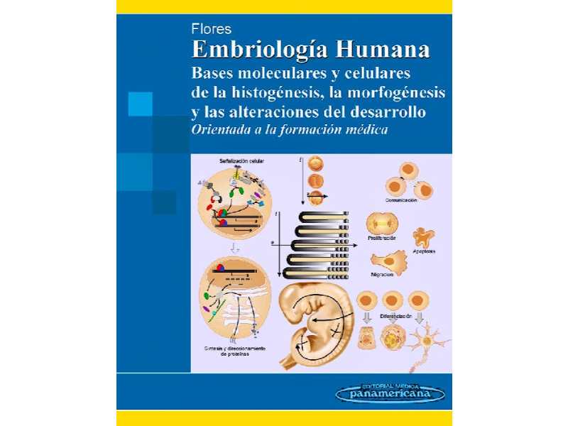 Embriología Humana. Bases Moleculares y Celulares de la Histogénesis ...