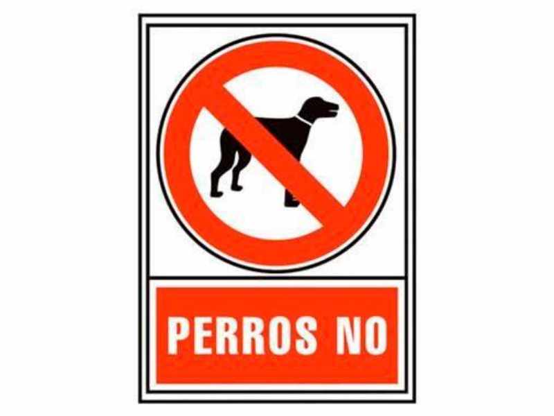 Signalisation Interdiction aux Chiens, Visibilité Haute, PVC Durable ...