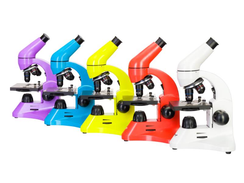 Microscope Éducatif Levenhuk Rainbow 50L: Outil Scientifique et ...