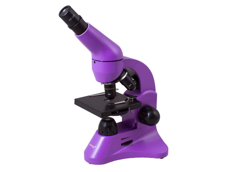 Microscope Compact Levenhuk Rainbow 50L: Observation Fine avec ...
