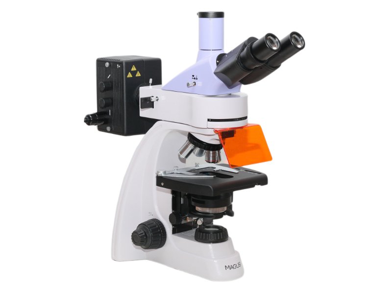 Microscope Fluorescent MAGUS Lum 400 Haute Définition et Précision