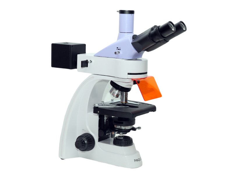 Microscopio Fluorescenza MAGUS Lum 400L