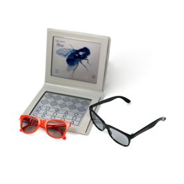 Test de la Mosca (2181)